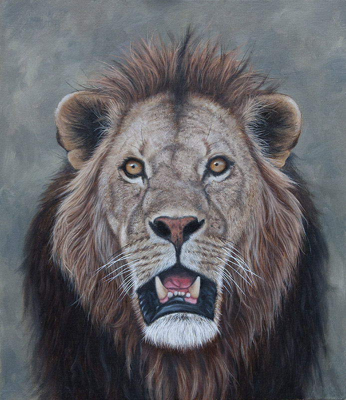 Wildlife art | Thoroughbredfineart